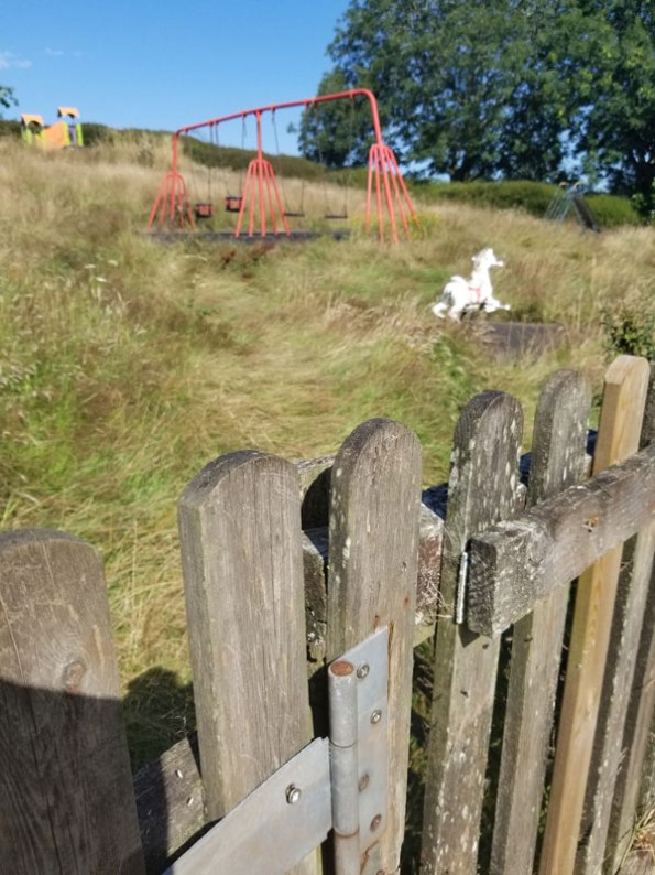 Marldon Village Play-Park – Marldon Local History Group